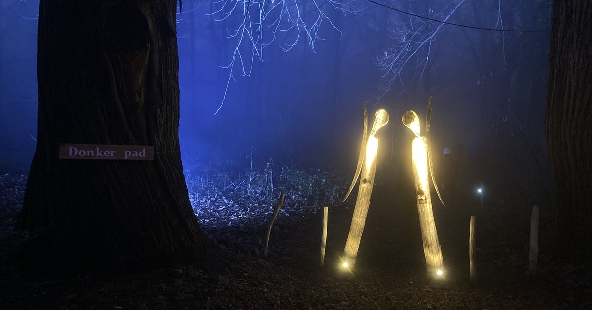 Bijdrage: 250 jaar oude Kastanjebomen bij ingang Donker Pad | Berg en Dal