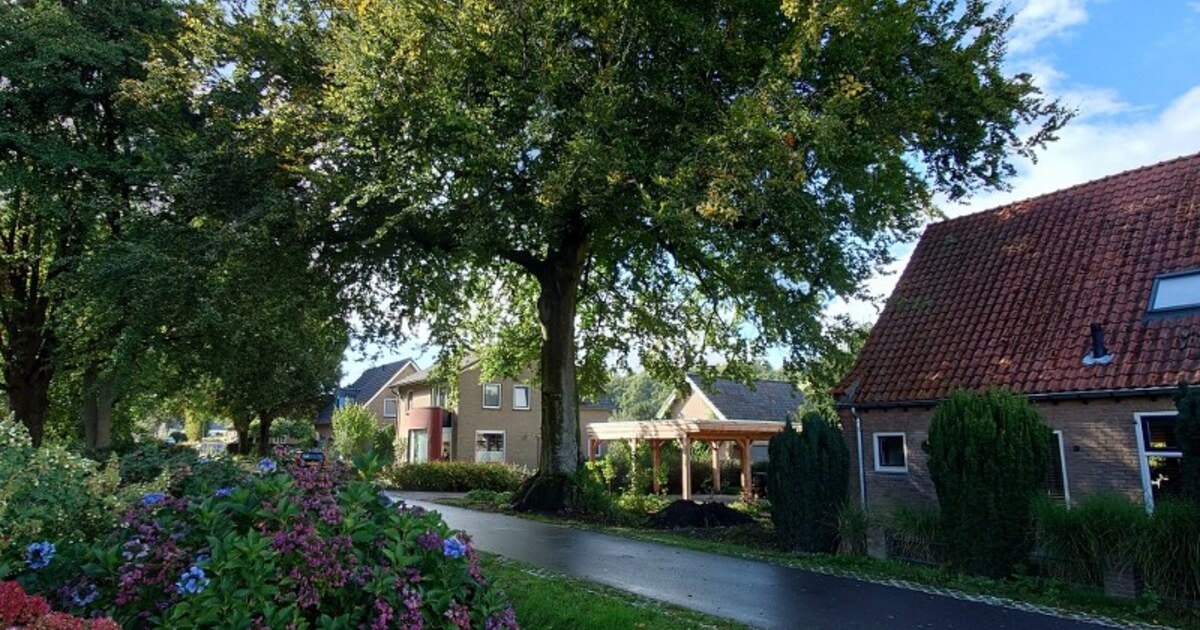 Een Stoere Bikkel Van Een Beuk